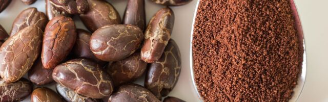 Cacao Plant Medicine | Asheville Salt Cave